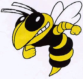 fulton hornets logo – KXEO